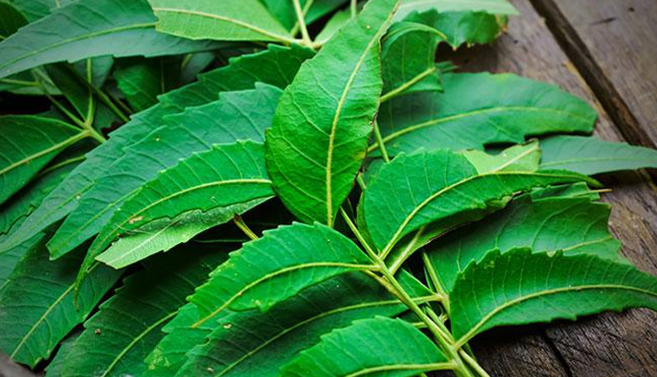 5 Quick Home Remedies To Treat Back Acne - lifeberrys.com