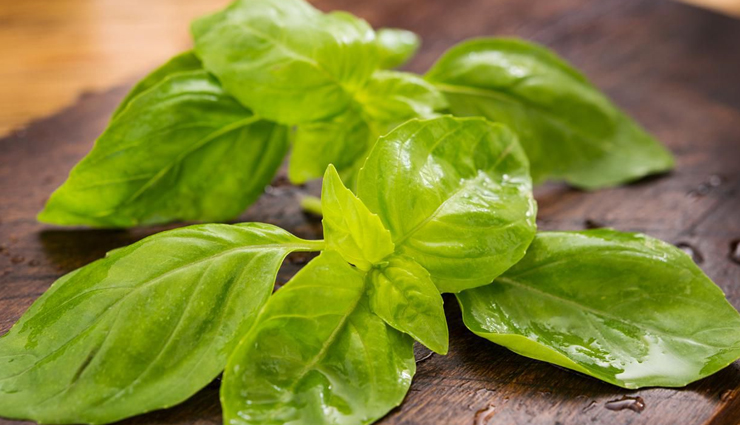 4 DIY Ways To Use Basil for Amazing Skin Care Routine - lifeberrys.com