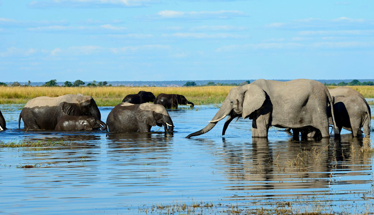 5 Best Places To Visit in Botswana - lifeberrys.com