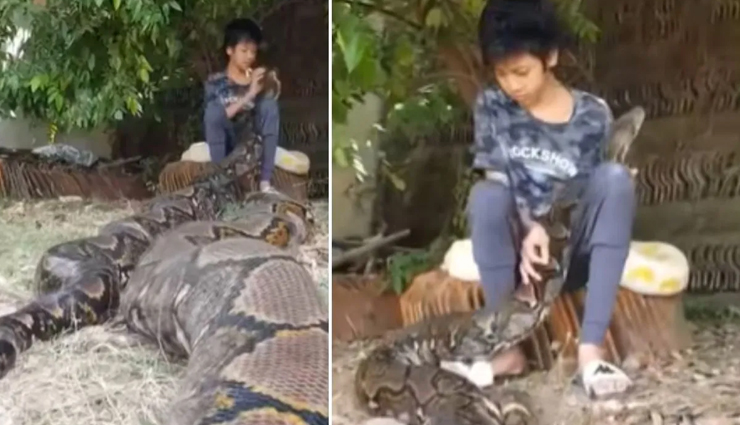 अजगर के साथ बच्चे की मस्ती का यह वीडियो रोक देगा आपकी भी सांसे #VIDEO