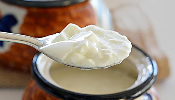 7 Reasons Why You Include Curd In Your Everyday Diet - lifeberrys.com
