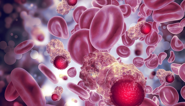 Blueberries Protects You Against Cancer, More Health Benefits Here ...