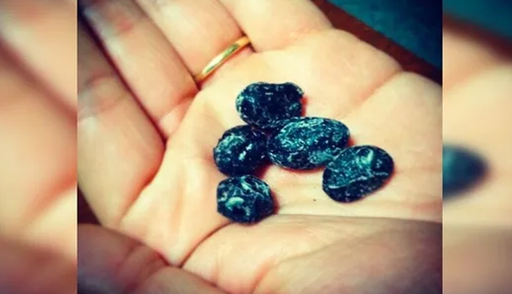 6 Most Disgusting Candies You Could Ever Eat - lifeberrys.com