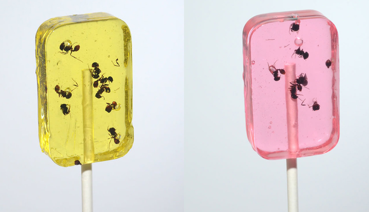 6 Most Disgusting Candies You Could Ever Eat - lifeberrys.com