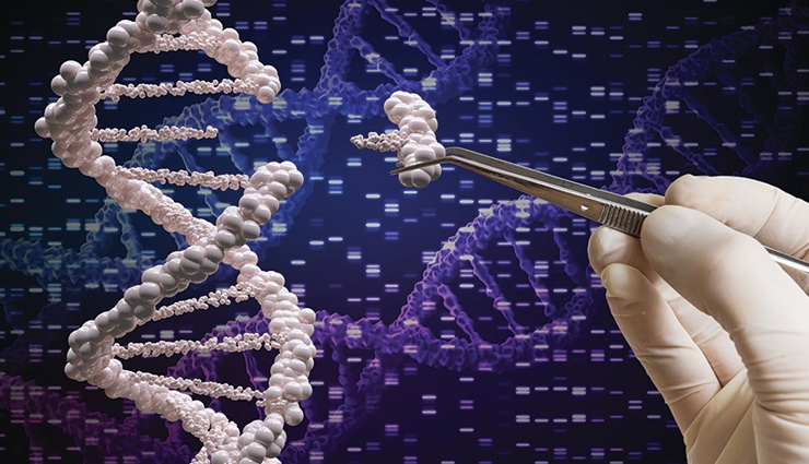 10 Major Causes of High Uric Acid Levels - lifeberrys.com