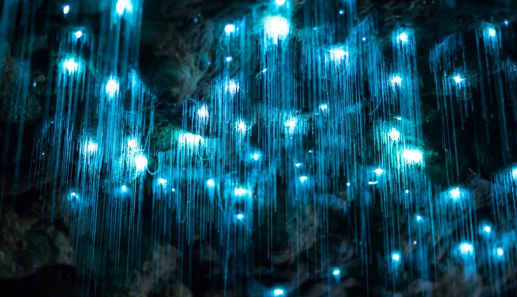 7 Most Mystical Caves To Explore Around The World - lifeberrys.com