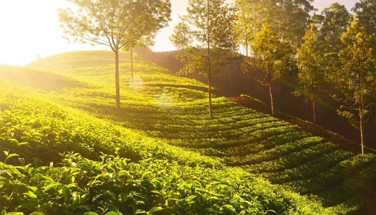 14 Best Weekend Getaways From Mangalore - lifeberrys.com