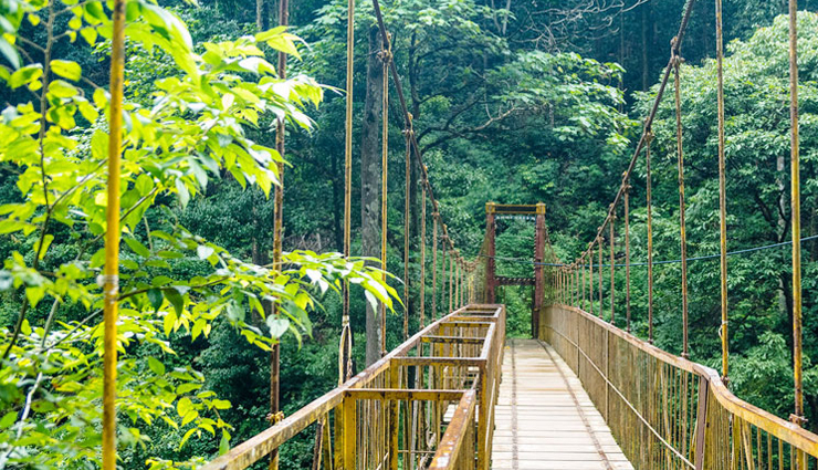 6 Best Tourist Destinations To Visit in Coorg - lifeberrys.com