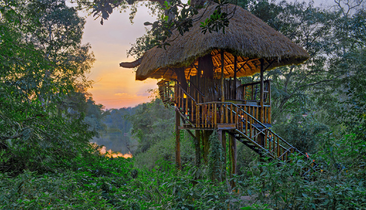 5 Things You Should Not Miss When in Coorg - lifeberrys.com