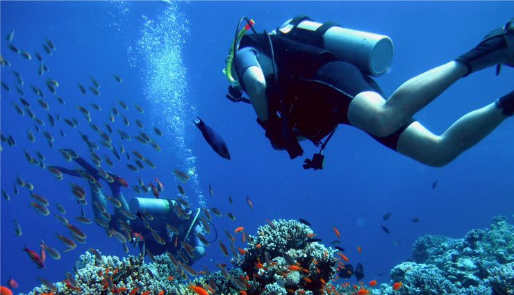 10 Most Amazing Places To Try Diving in Southeast Asia - lifeberrys.com