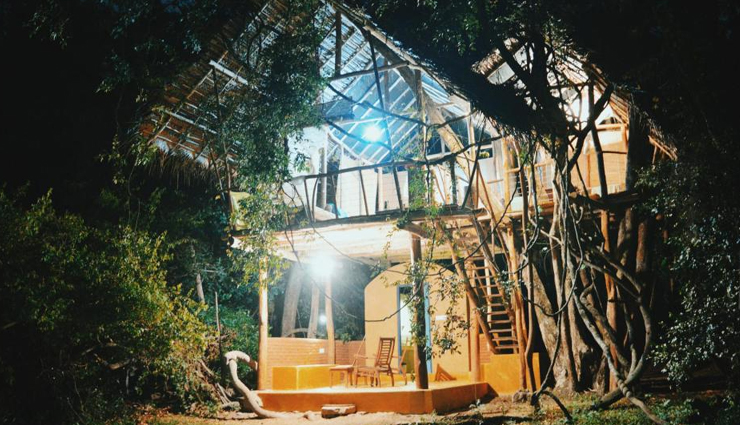 6 Amazing Treehouses To Stay in Sri Lanka - lifeberrys.com
