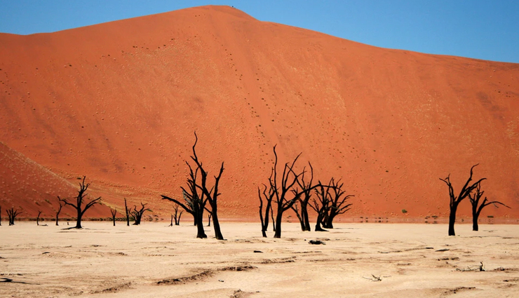 6 Famous Deserts To Explore in The World - lifeberrys.com