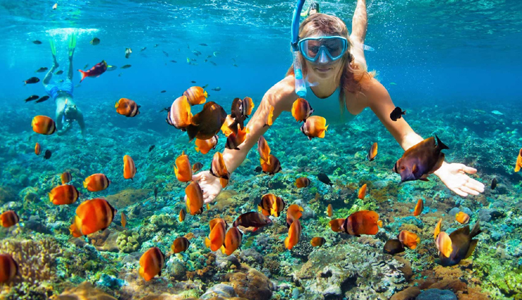 10 Reasons Why You Must Visit Borneo - lifeberrys.com