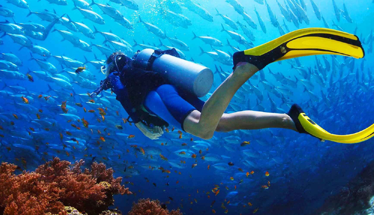 List of 10 of The Best Places in The World To Go Diving - lifeberrys.com