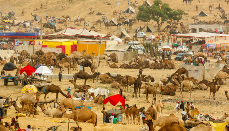 6 Most Famous Fairs To Visit in India - lifeberrys.com