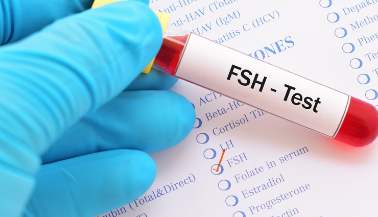 4 Key Cycle Hormones You Should Know About When Trying To Get Pregnant ...