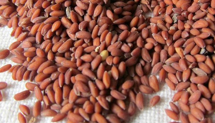 5 Potential Health Benefits of Garden Cress Seeds - lifeberrys.com