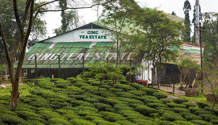 10 Most Favourite Plantation Stays in India - lifeberrys.com