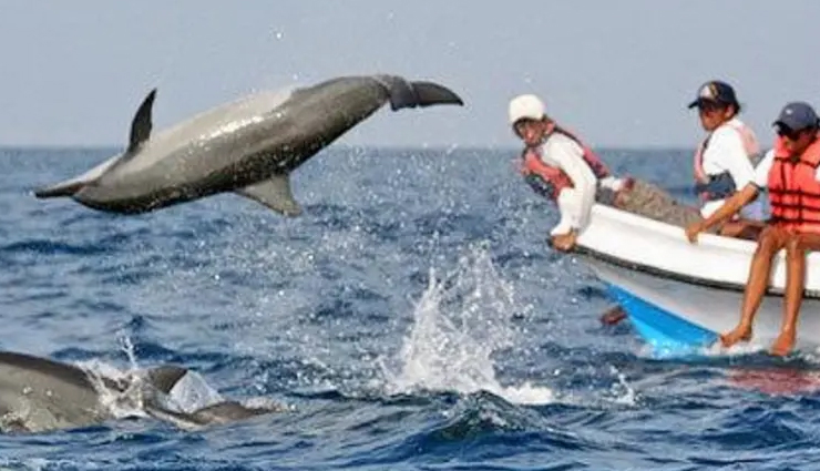 10 Most Amazing Things You Can Do in Goa - lifeberrys.com