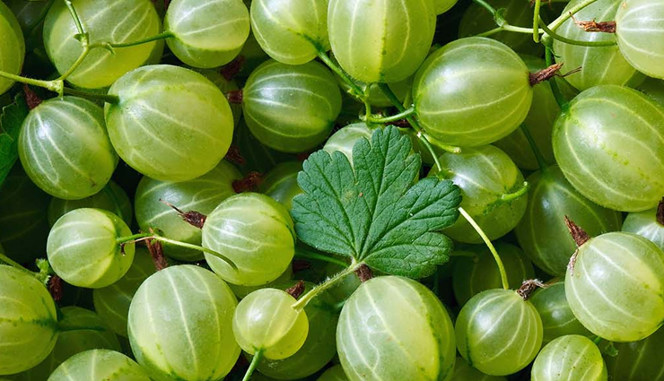 7 Natural Remedies To Get Rid of Dark Knuckles - lifeberrys.com