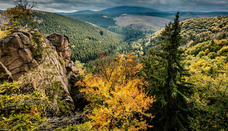 7 Most Beautiful National Parks To Visit in Germany - lifeberrys.com