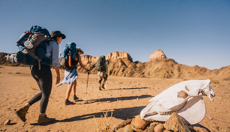 10 Amazing Things You Can Experience only in a Desert - lifeberrys.com