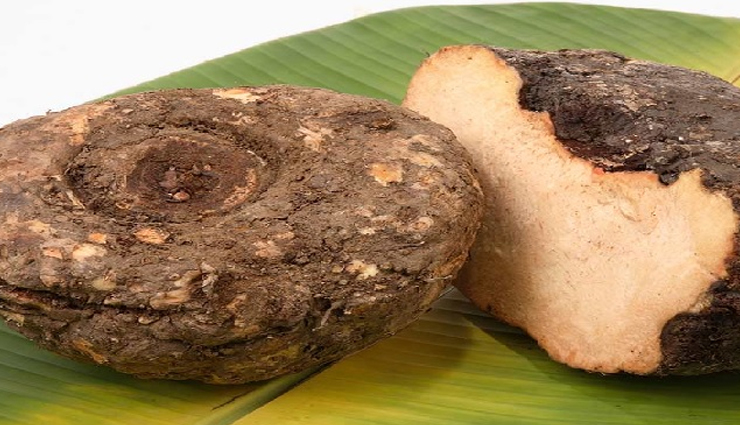 Jimikand Will Help To Lower Cholesterol, 5 Amazing Benefits ...