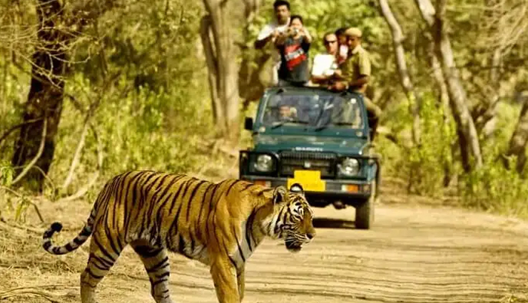 6 Must Visit Places in Karnataka During Monsoon - lifeberrys.com