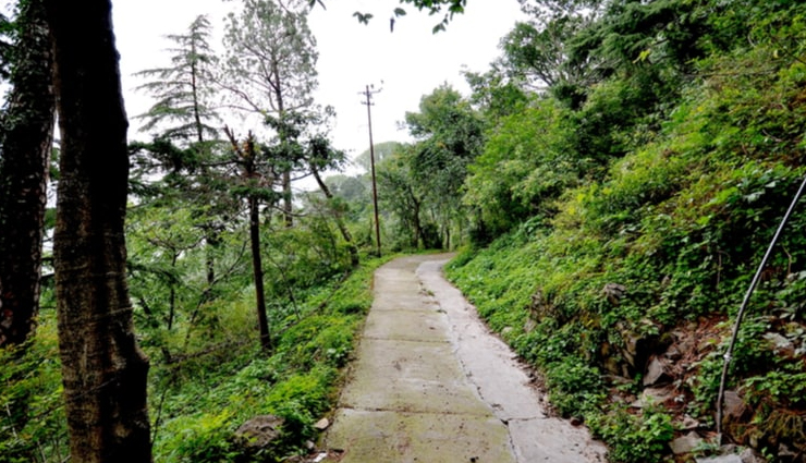 6 Most Beautiful Places To Visit in Kasauli - lifeberrys.com