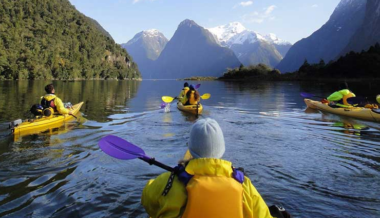 10 Adventure Activities You Must Try in New Zealand - lifeberrys.com