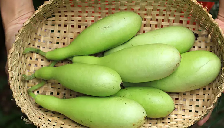 5 Proven Health Benefits of Lauki - lifeberrys.com