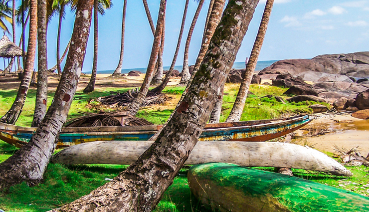 12 Most Humid Countries in the World - lifeberrys.com