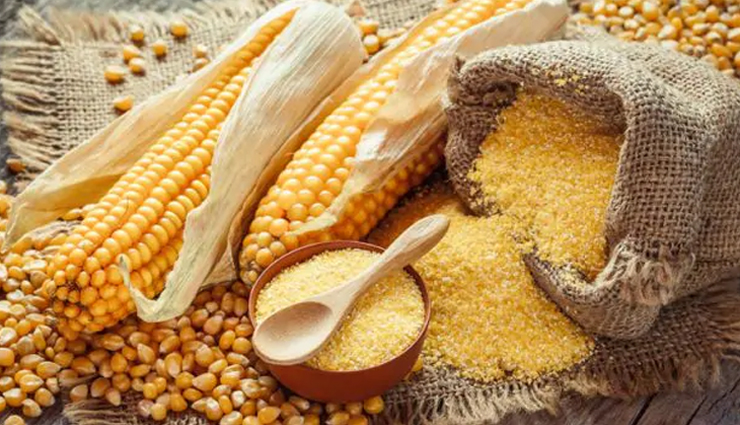 Recipe- Easy To Make Maize Flour Tortillas - lifeberrys.com