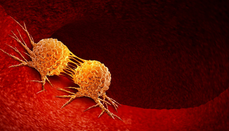 5 Amazing Health Benefits of Mango - lifeberrys.com