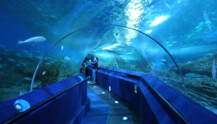 7 Marine Park You Must Explore in Australia - lifeberrys.com