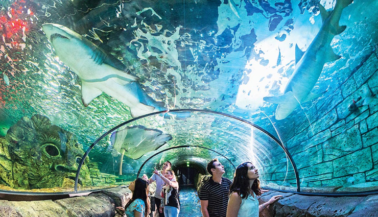 7 Marine Park You Must Explore in Australia - lifeberrys.com