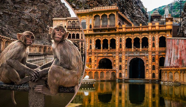 5 Interesting Facts About Moneky Temple of India- Galtaji Temple Jaipur ...