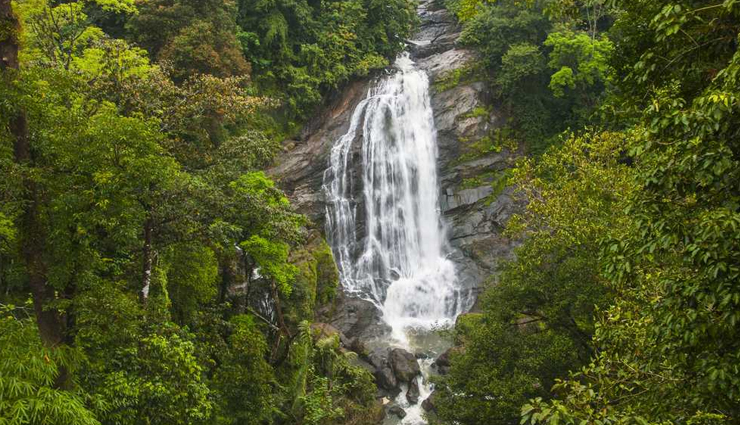6 Must Visit Tourist Attraction in Munnar - lifeberrys.com