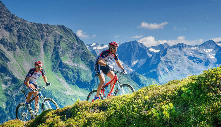 8 Things Not To Miss in Munnar - lifeberrys.com