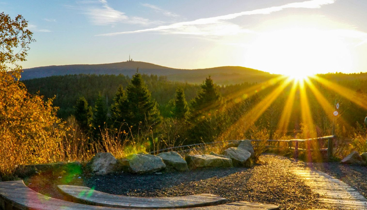 7 Must Visit National Parks To Visit in Germany - lifeberrys.com