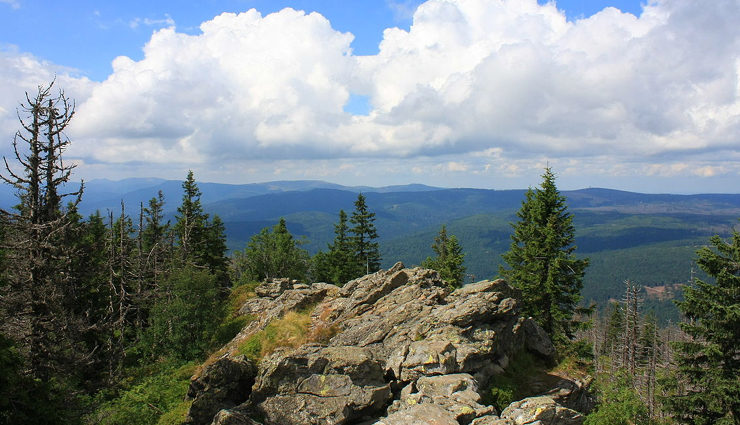 7 Must Visit National Parks To Visit in Germany - lifeberrys.com