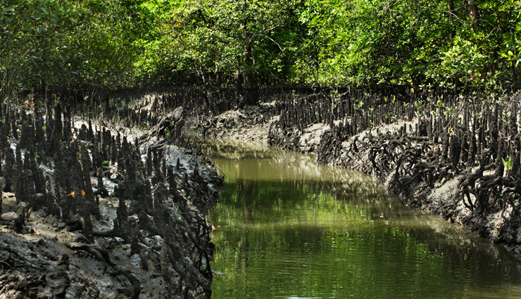 10 Must Visit Beautiful Natural Places in India - lifeberrys.com