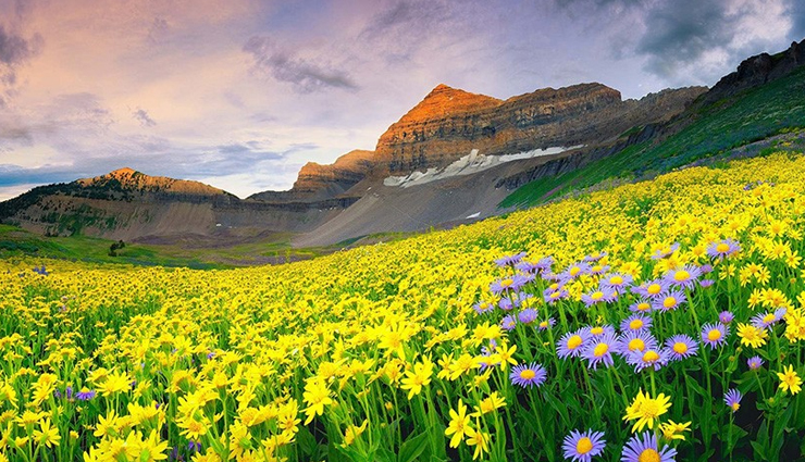 6 Astounding Natural Wonders To Visit in India - lifeberrys.com