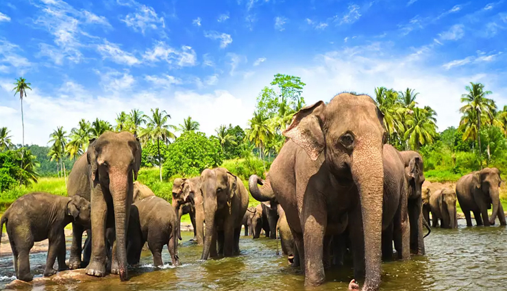 5 Reasons Why Odisha Should Be Your Next Vacation Destination ...