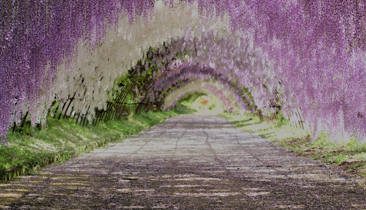 6 Most Beautiful Paths To Visit Around The World - lifeberrys.com