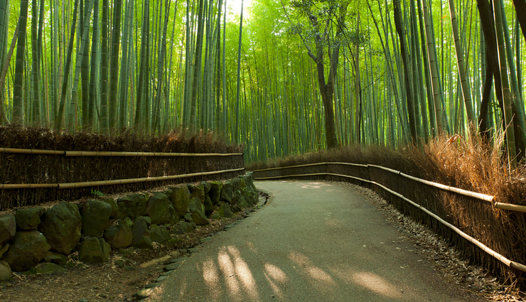 6 Most Beautiful Paths To Visit Around The World - lifeberrys.com