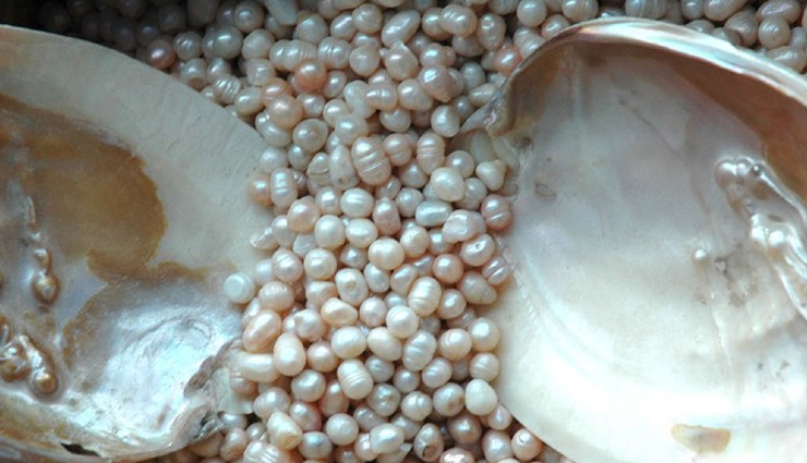 6 Well Known Health Benefits of Pearl Powder - lifeberrys.com