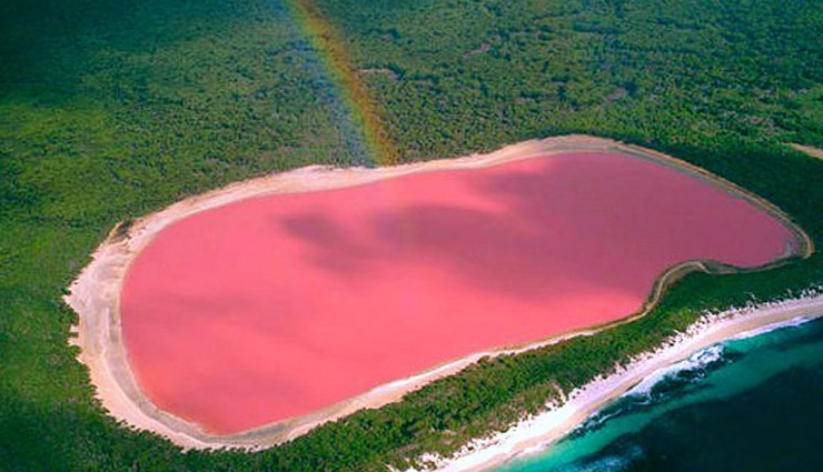 6 Popular Pink Lakes To Visit Around The World - lifeberrys.com