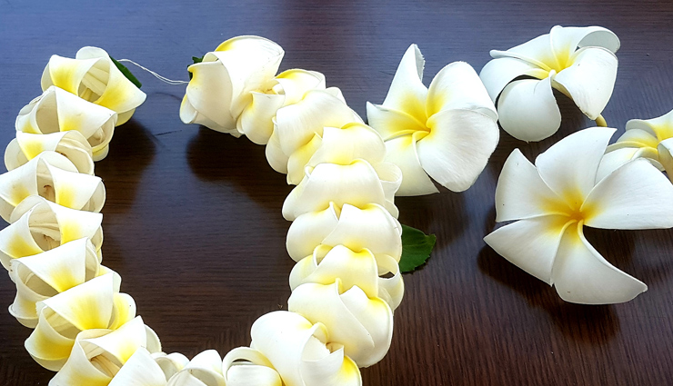 5 DIY Flower Face Packs To Try at Home - lifeberrys.com