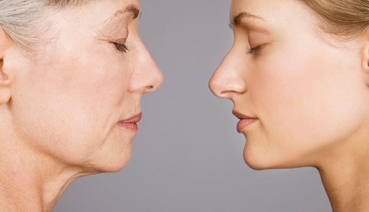 6 Benefits of Prune on Your Health - lifeberrys.com